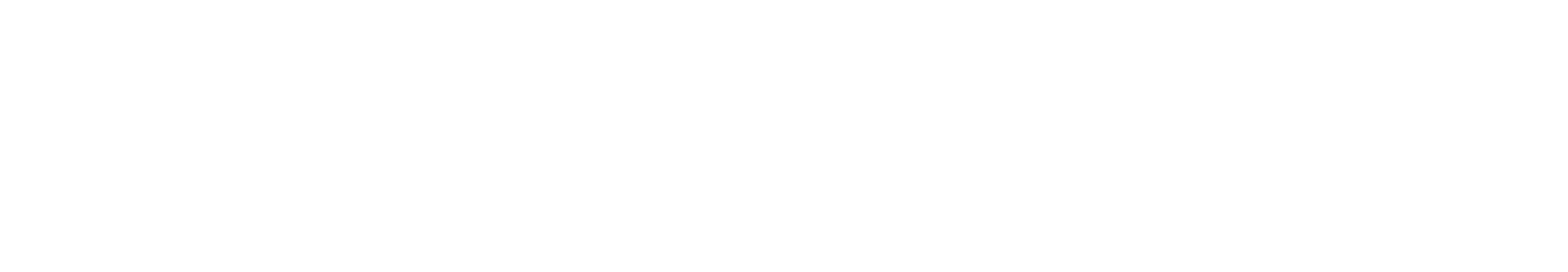 Cookie Statement | Adeptus Cyber Solutions